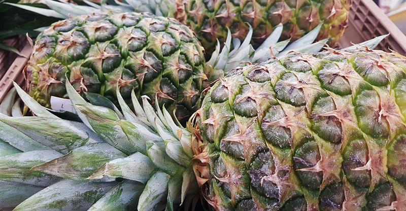 Ministry of Equity, Social Justice and Empowerment